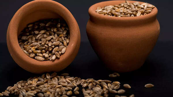Emmer wheat or Khapli: Everything we should know about this healthy ...
