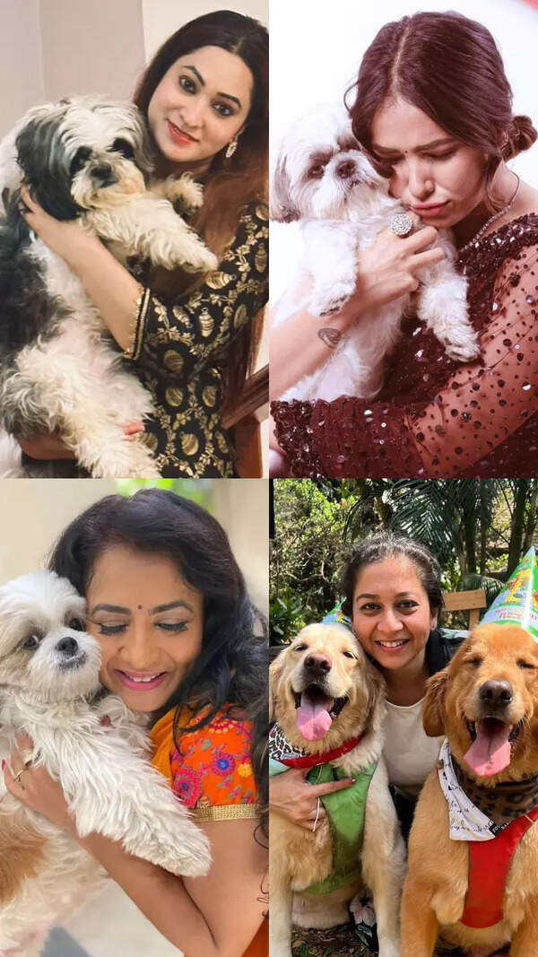 Ettekal Second | Malayalam Movie News - Times of India