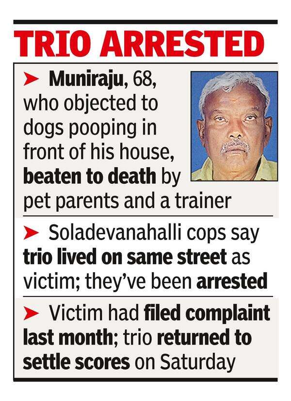 Bangalore Crime News: Bengalurean beaten to death in fight over dog ...