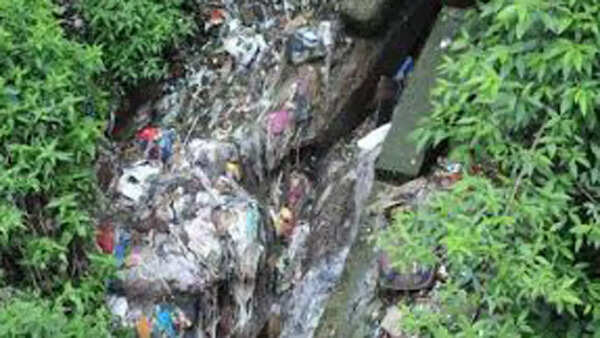 Stop dumping garbage, debris along rivers, streams, rivulets: Himachal ...