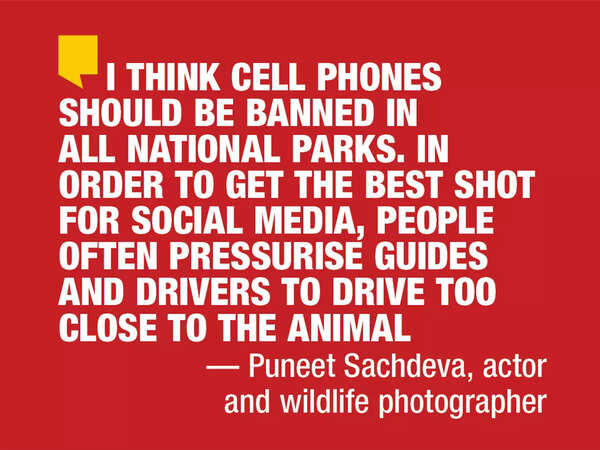 Respect animals’ habitats and follow basic etiquette: Your guide to a ...