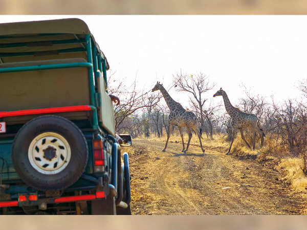 Respect animals’ habitats and follow basic etiquette: Your guide to a ...