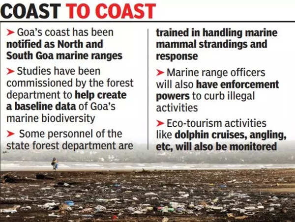 Lifeguards to be Goa's marine range protectors | Goa News - Times of India