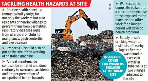 Ngt: How To Protect Adampur From Fire? Experts Have Some Answers ...