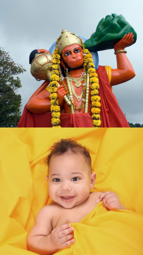 Actress Jina Tarafdar joins the cast of ‘Pherari Mon’ - Times of India