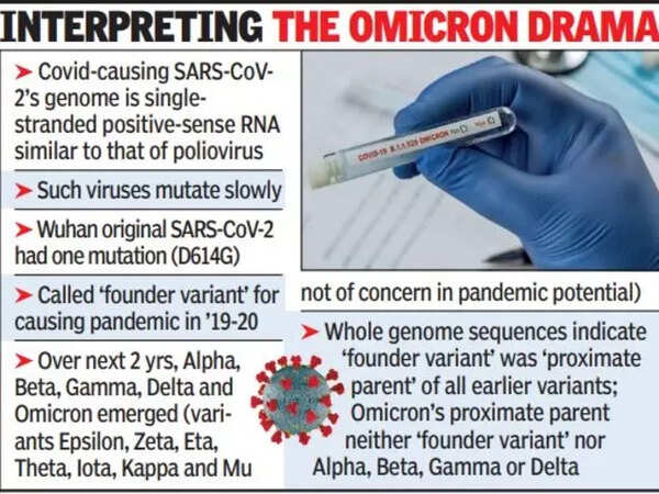 ‘rats Had A Hand In Creating Longest-running Omicron Variant’ | Mumbai ...