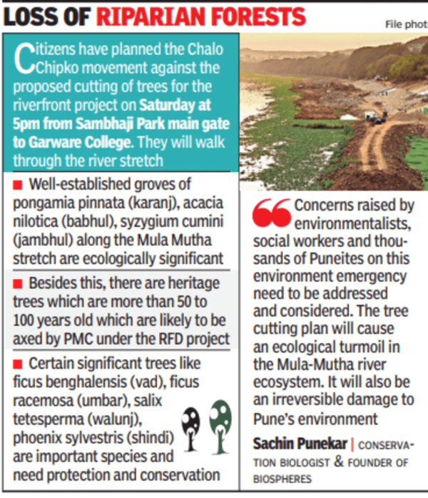 Tree felling on river banks in Maharashtra authority's hands | Pune ...