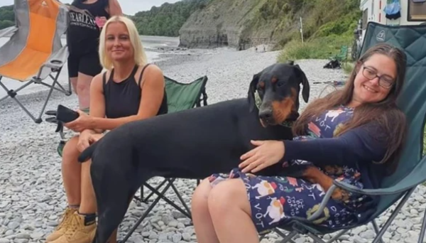 British woman’s pet dog finds a kidney donor for her and saves her life ...