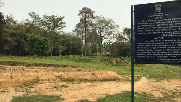 Northeast Diary: Amid Unesco heritage tag hype, monumental neglect of ...