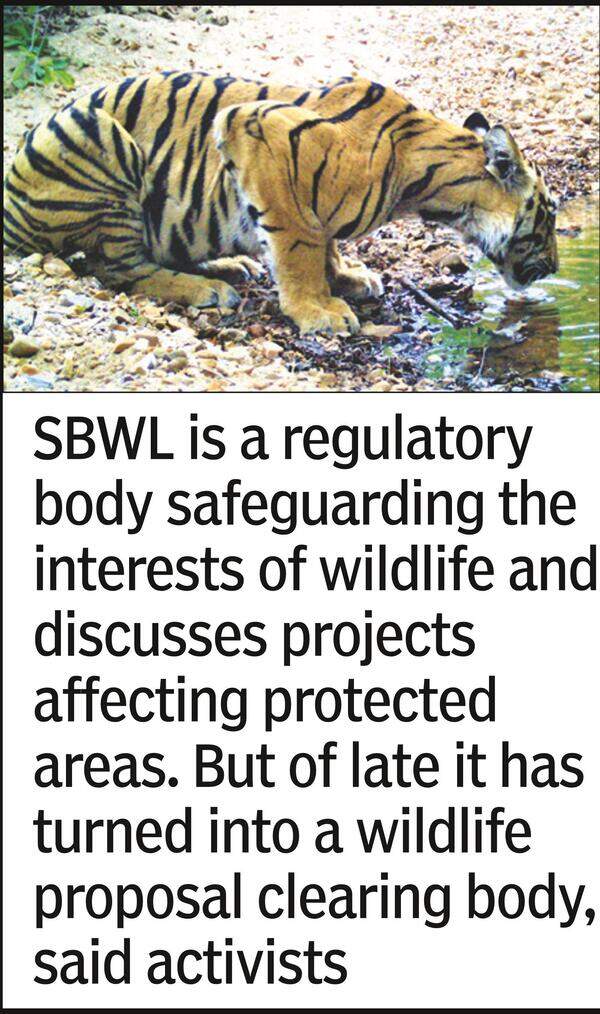 Sbwl Meeting Planned Against Wpa Provisions | Nagpur News - Times of India