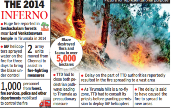 Forest fire incidents drop in Seshachalam biosphere | Visakhapatnam ...