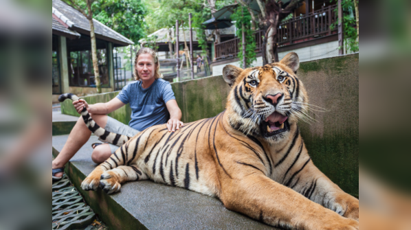 7 countries with the highest tiger population