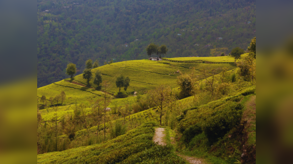 5 serene hill towns in West Bengal that are not Darjeeling
