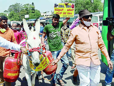 animal: Animal activists up in arms over abuse of donkey