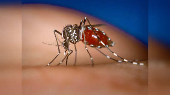 Bangladesh undergoing the worst ever dengue outbreak: Key points