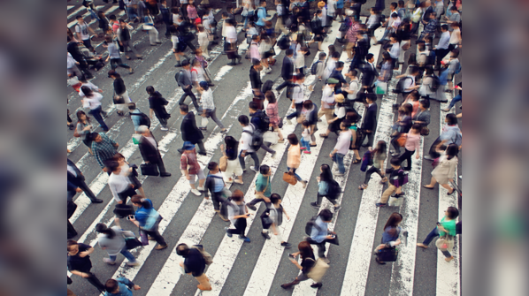 How did Zebra Crossing get its name? Read the story