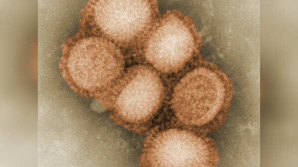 Oldest viruses in the world