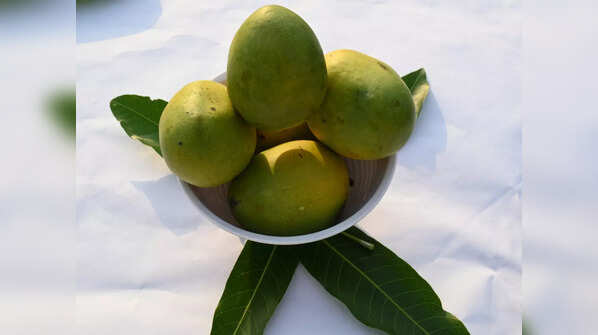 From Gadha to Langra: 15 unique mango varieties enjoyed in India