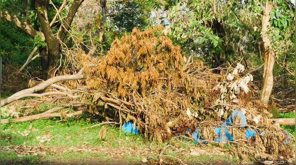 Cyclones in India: 10 deadliest cyclones that hit India in past