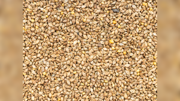 Sama Millet Health Benefits: 6 impressive health benefits of sama or ...