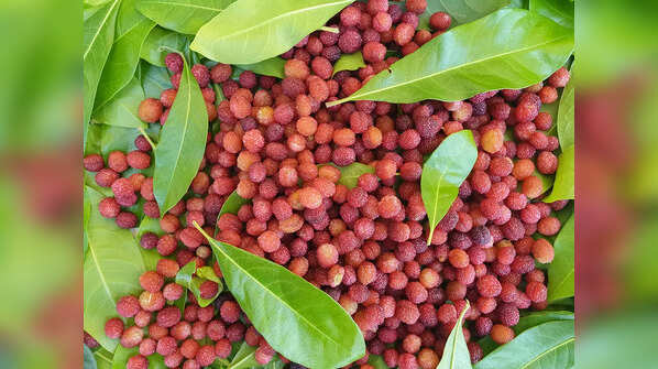 Did you know, PM Modi is a fan of this amazing Pahadi fruit?