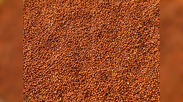 What is the difference between quinoa and millet