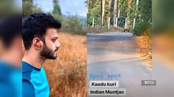 Animals must be wondering, where have the humans gone: Akka Chellellu ...