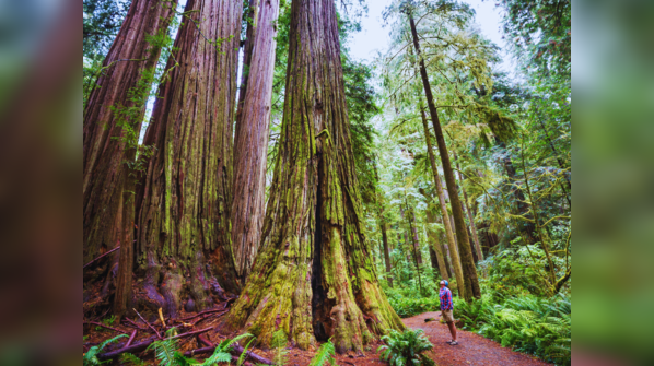 6 quietest places to bookmark for a completely silent experience