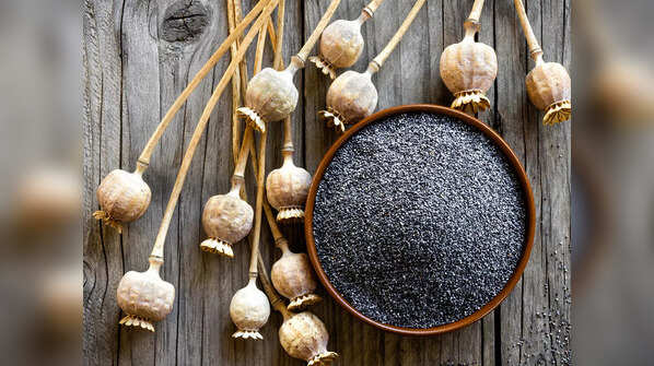 Benefits of drinking Khus Khus with Milk, and the right way to consume it