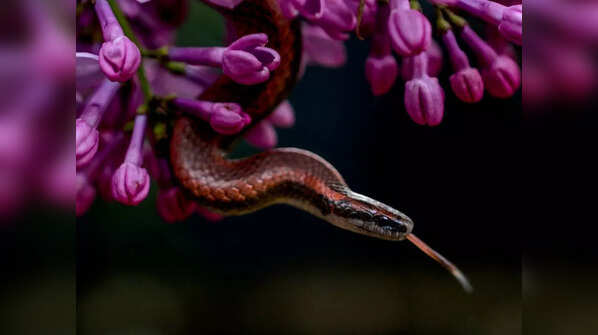 9 types of Narakas or hells as per Hindu religion