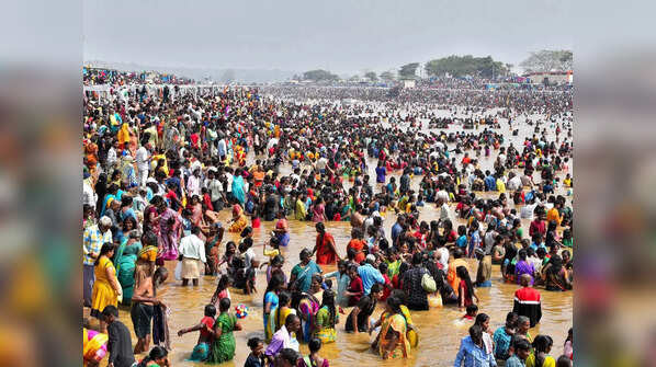 Sammakka Saralamma Jatara: India's largest tribal fest explained ...
