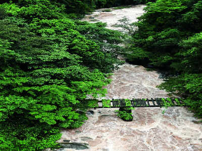 Split opinion over green cess