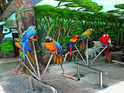 Shuka Vana Mysuru emerges as Asia’s premier parrot sanctuary