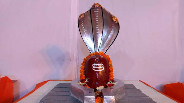 Why one should never eat the Prasad offered to the Shivling
