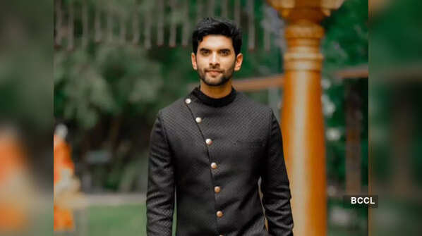 From Prem Jacob to Ashwathy Ash: Tamil TV actors who made a sensational ...