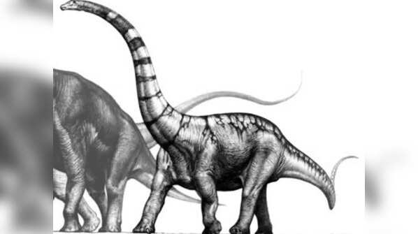 7 largest dinosaurs in world history