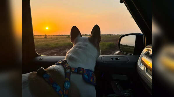 Samantha Ruth Prabhu-Naga Chaitanya Divorce: From getting spotted ...