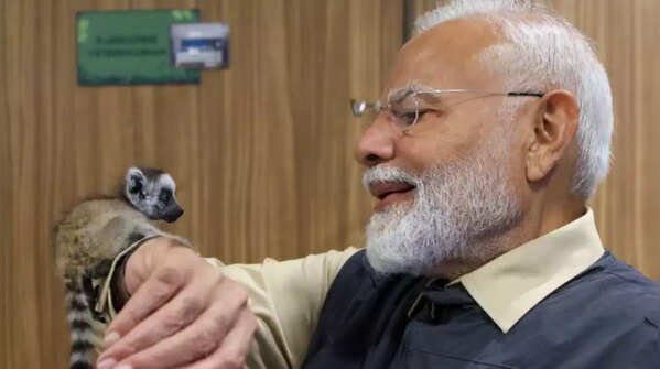 10 adorable animals that PM Narendra Modi saw during his visit to ...
