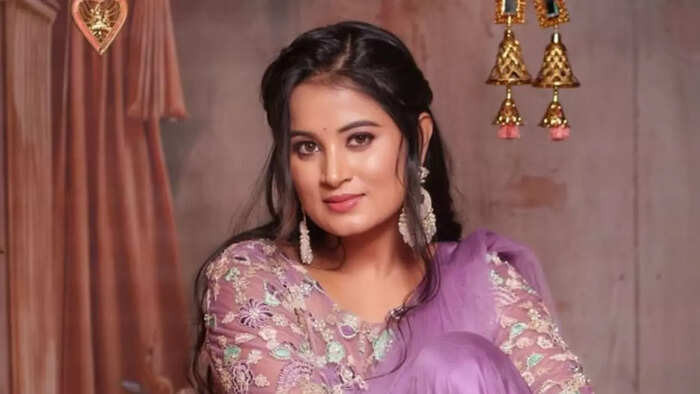 Bigg Boss Kannada 11 Grand Premiere Highlights: Seventeen contestants ...