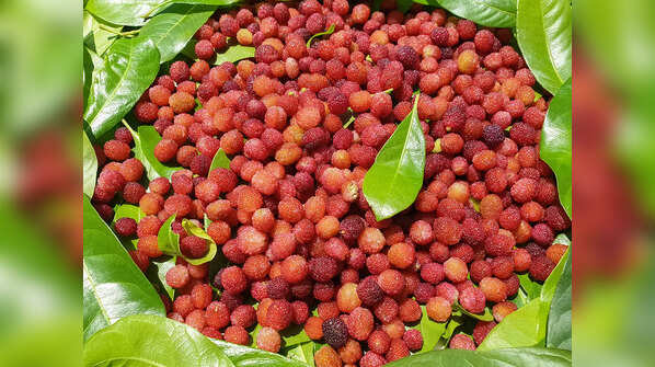 Did you know, PM Modi is a fan of this amazing Pahadi fruit?