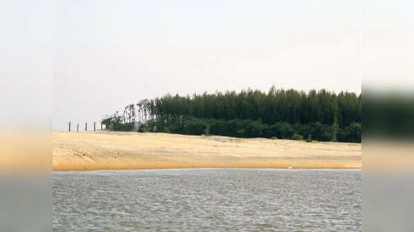 5 forgotten beaches in Odisha that deserve their time