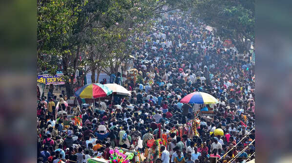 Sammakka Saralamma Jatara: India's largest tribal fest explained ...