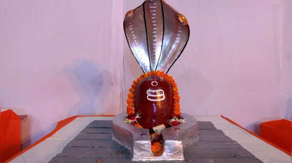 The correct way to perform Shivling Abhishekam on Mahashivratri