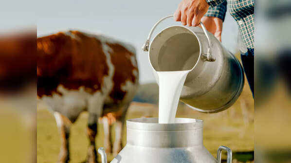 Raw Milk vs Boiled Milk: Which one to consume