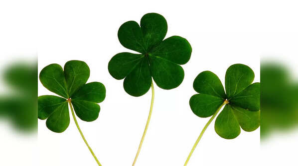 Did you know about these 3 types of luck besides BAD LUCK?