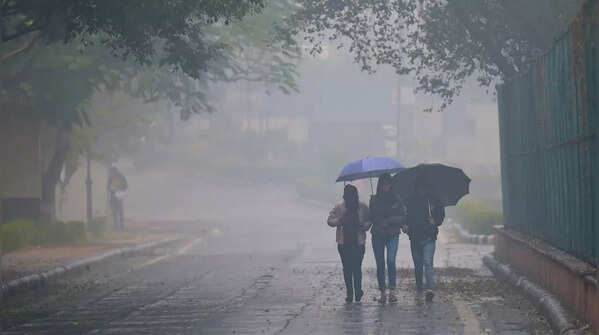 In pics: Delhi witnesses light rain, hazy day