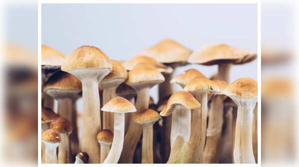 How magic mushrooms can help quit heavy drinking