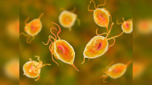 STIs that can cause warts and lumps on skin