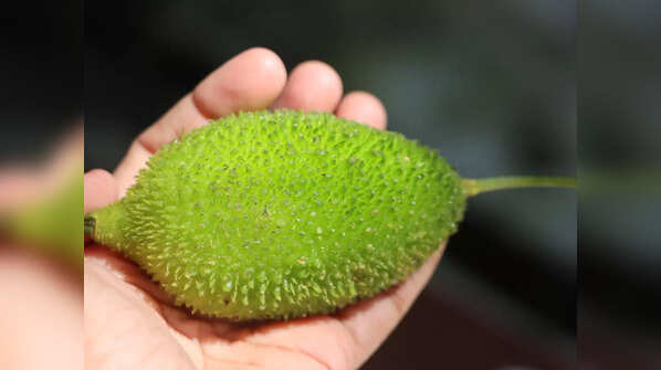 Kakoda: This local vegetable is a store house of nutrition
