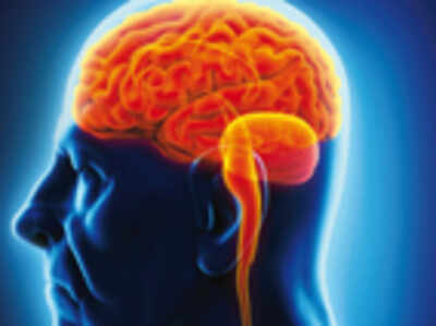 A mutiny against the brain